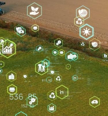 Pollution Incident Response Management Plan | Love The Garden