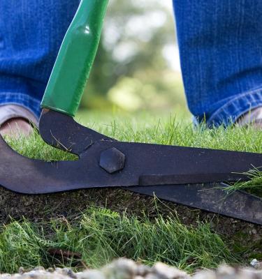 The complete guide to lawn edging | Love The Garden