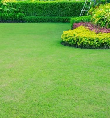 How to Level a Bumpy Lawn A Complete Guide Love The Garden