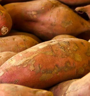 How to grow & care for yam in 5 simple steps - Love The Garden
