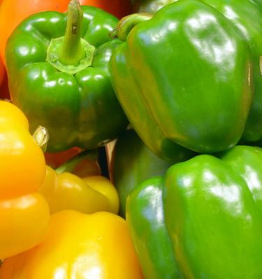 How to grow & care for Capsicum | Love The Garden