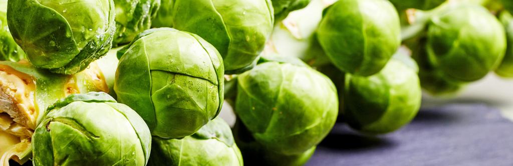 A Guide to Growing Brussel Sprouts | Love The Garden