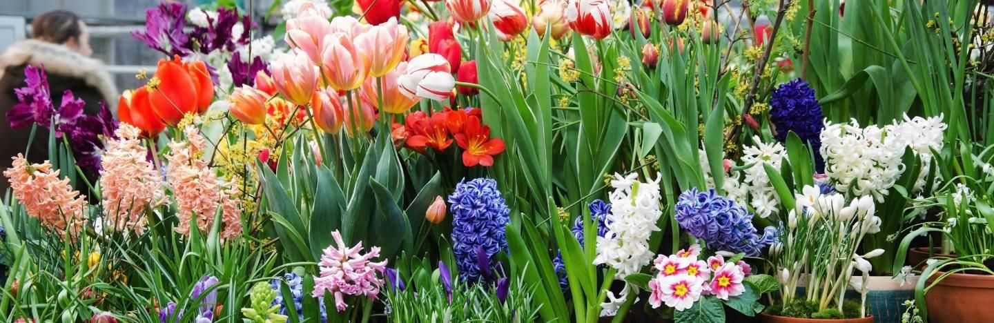 5 Fantastic Flower Bulb Design Ideas | Love The Garden