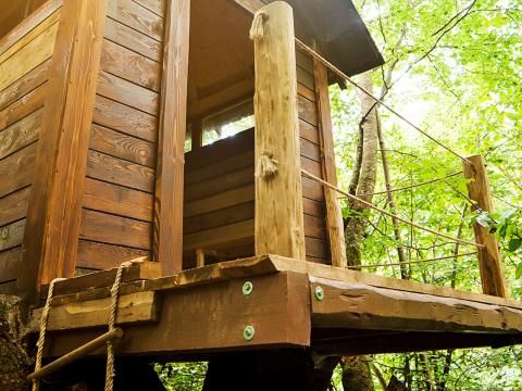 Ground Level Tree Houses