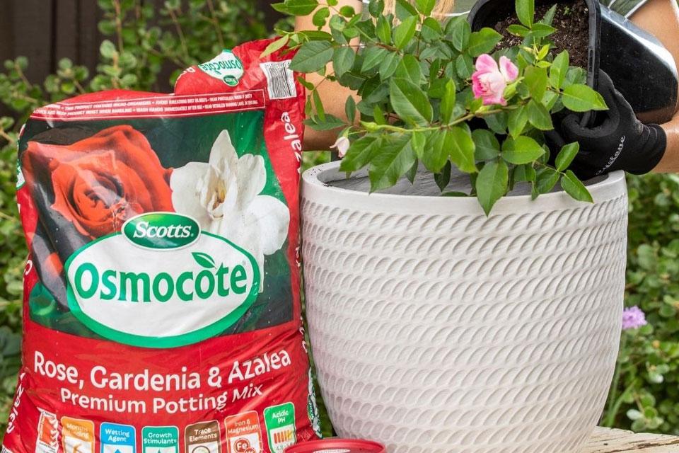 Scotts Osmocote | Love The Garden