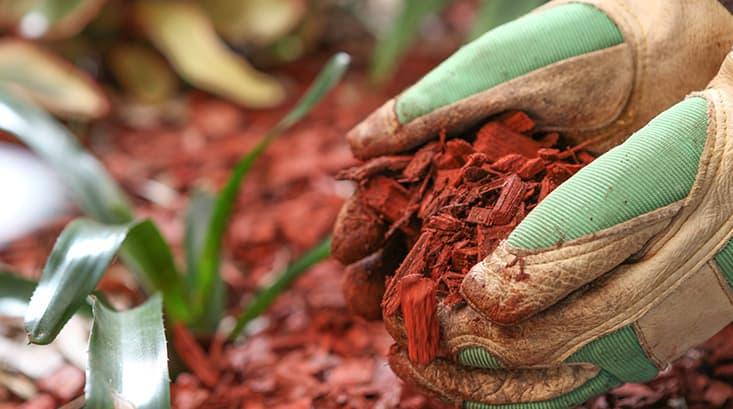 Debco | Love The Garden