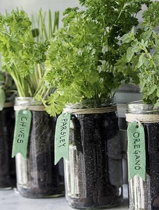 Debco | Love The Garden