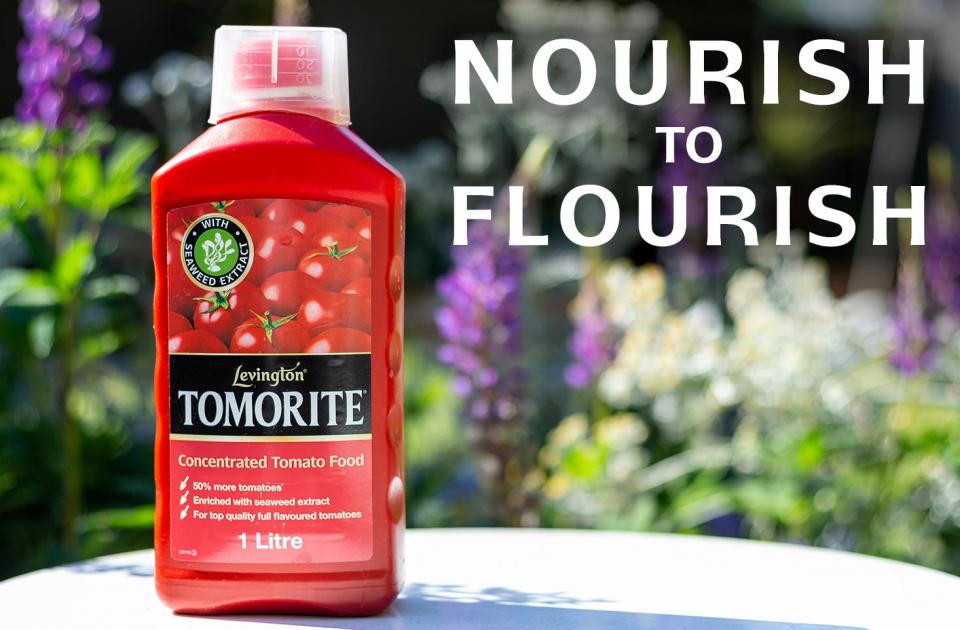 Levington® Tomorite® | Love The Garden