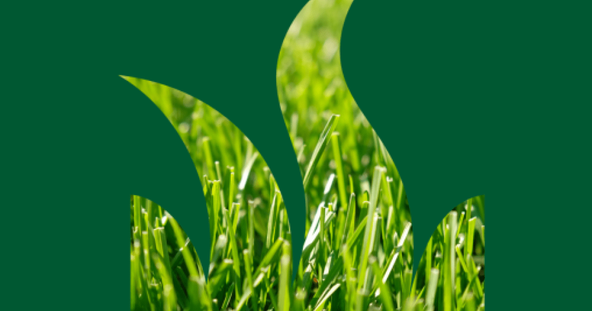Grass-Tastic: Unlocking The Secrets To a Lush Lawn | Love The Garden