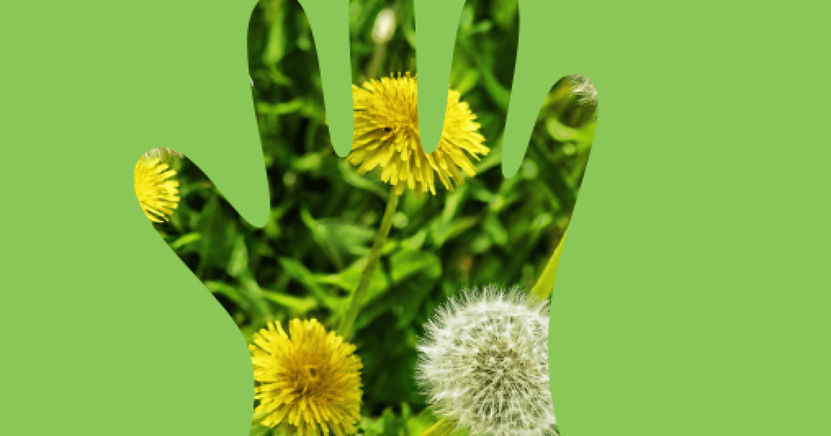 Weed 'Em and Reap: Mastering Lawn Weed Control | Love The Garden