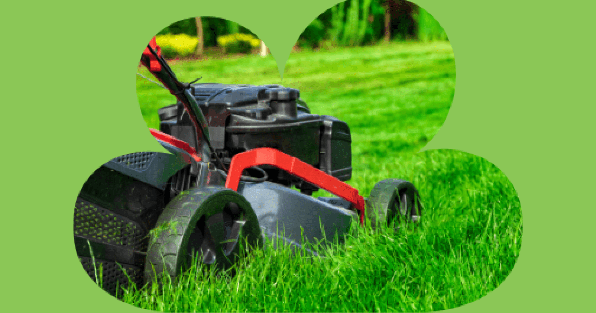 How to Mow Your Lawn | Expert Tips and Tricks