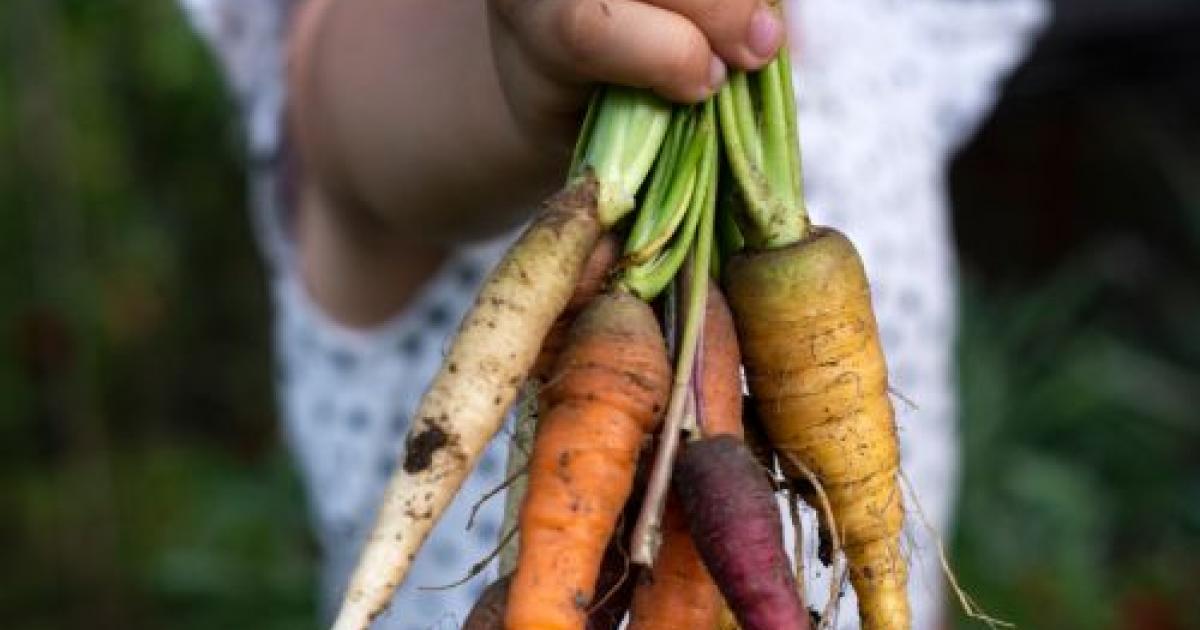 Best Bite-Sized Fruit & Veggies to Grow | Love The Garden