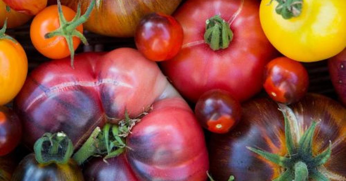 Top 10 heirloom vegetables to grow in your garden - Love The Garden