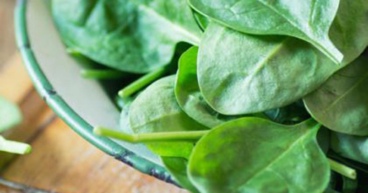Wintergroenten uit de moestuin in de winter | Ilovemygarden