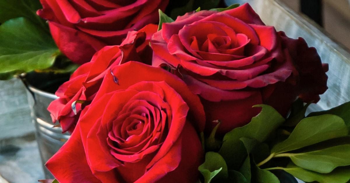 Blumen und ihre Bedeutung | Liebe Deinen Garten DE