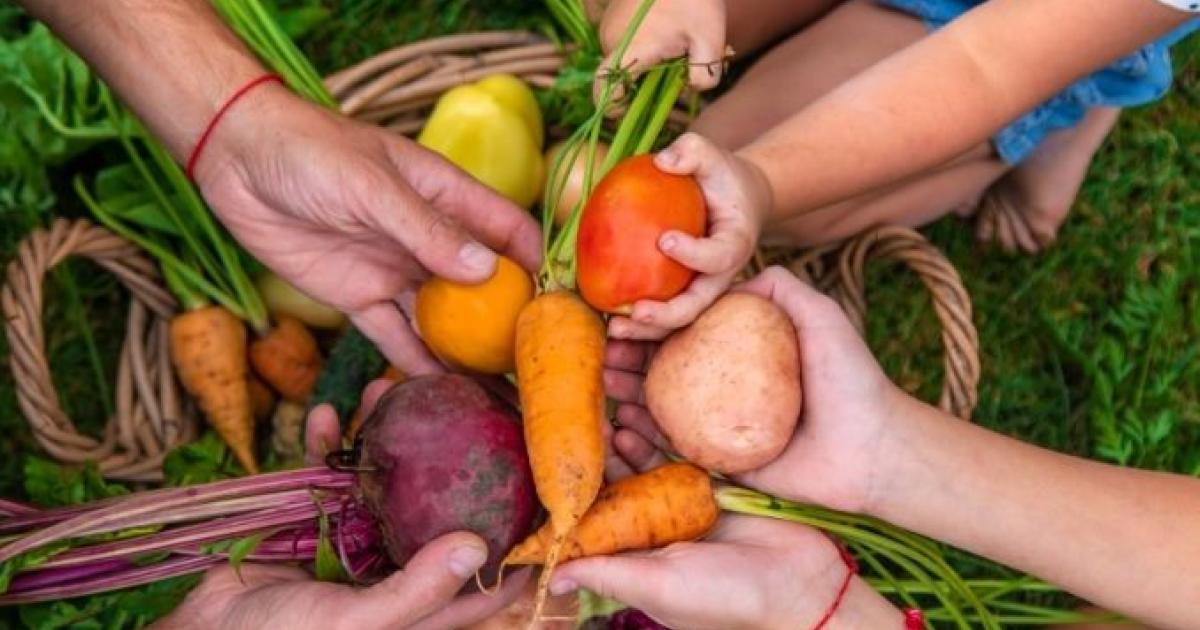 Best Bite-Sized Fruit & Veggies to Grow | Love The Garden