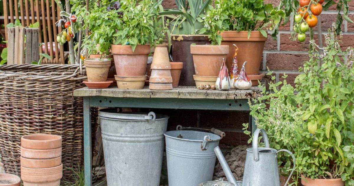 The right pot for your crop - Scotts Australia