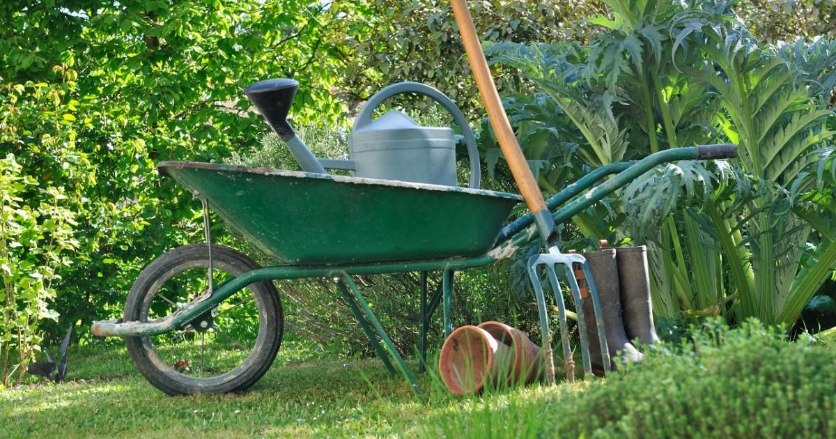 Beperk je tuinafval met deze handige tips | Ilovemygarden