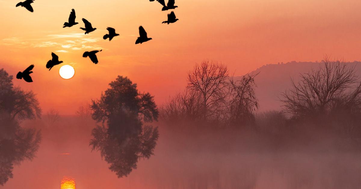 Get ready for Autumnwatch | Love The Garden