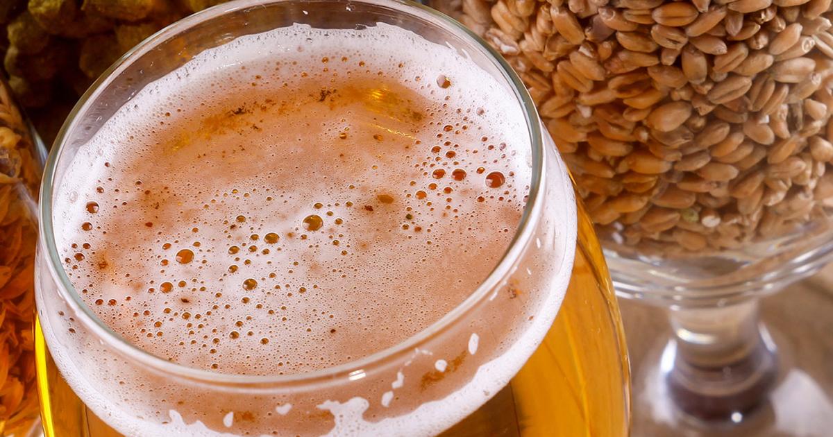 How to make your own homebrew | Love The Garden