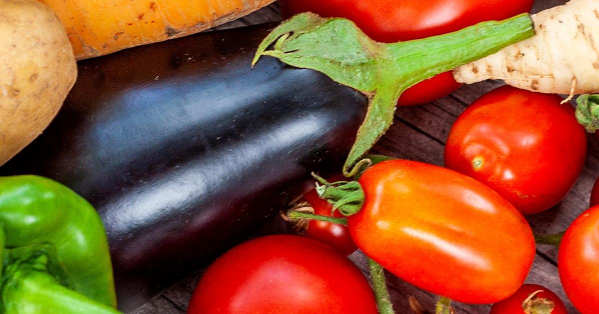 Les incontournables du carré potager : Mon jardin | Blog La Pause Jardin