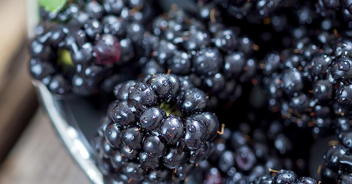 Comment reconnaître les différents fruits et baies sauvages ? | La ...