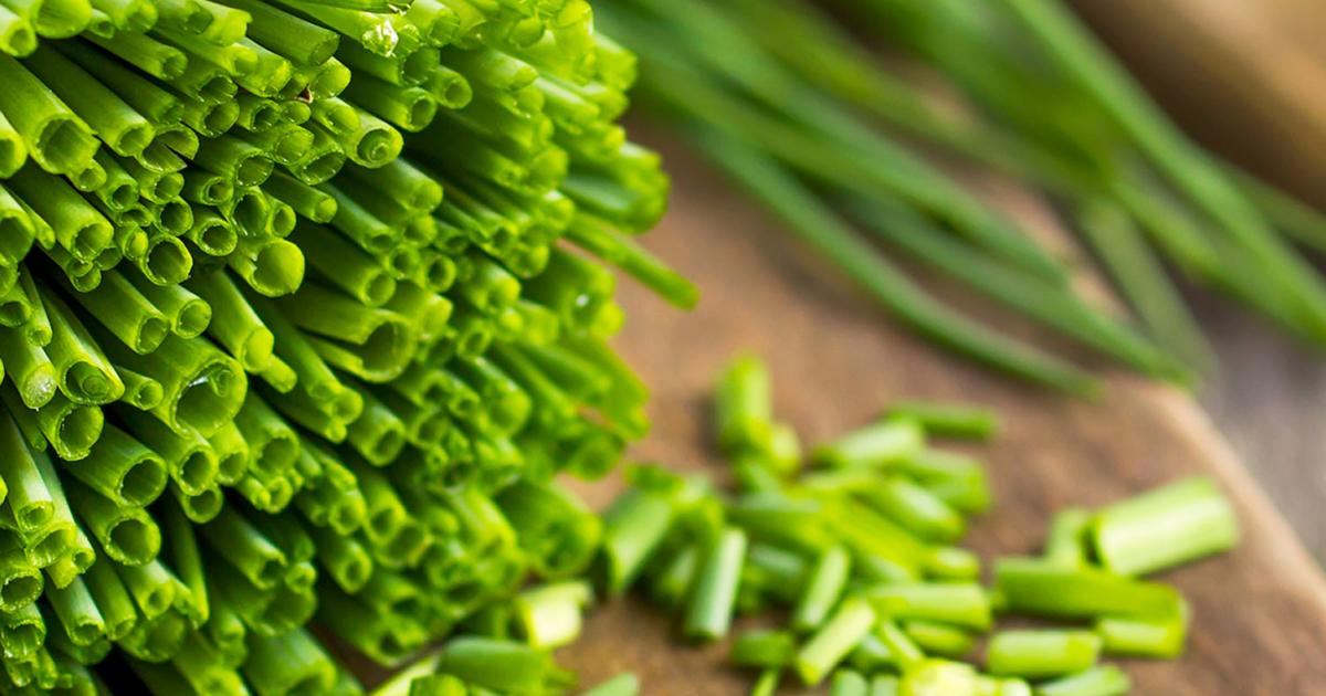 How to Grow and Care for Chives | Love The Garden