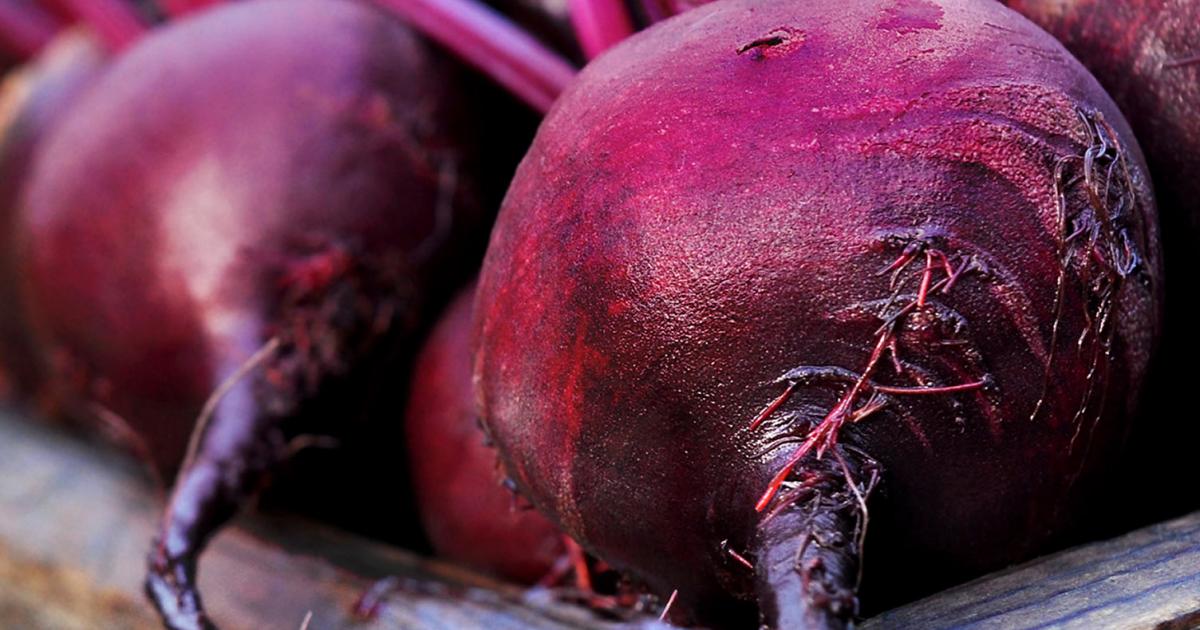 How to grow and care for beetroot | lovethegarden
