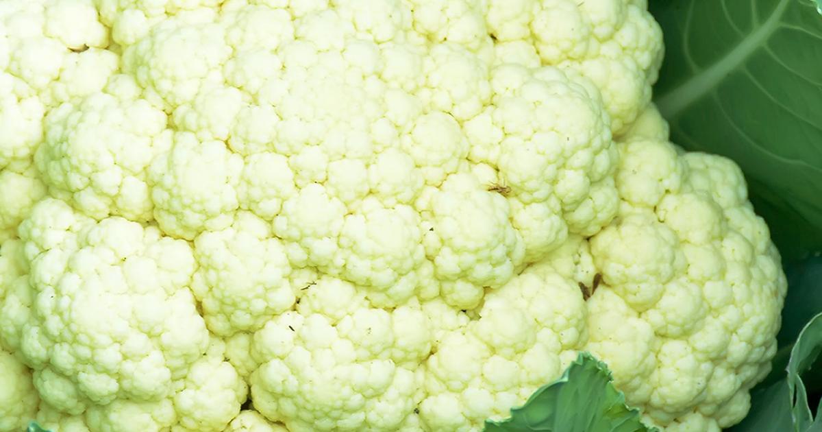 How to grow and care for cauliflower | Love The Garden