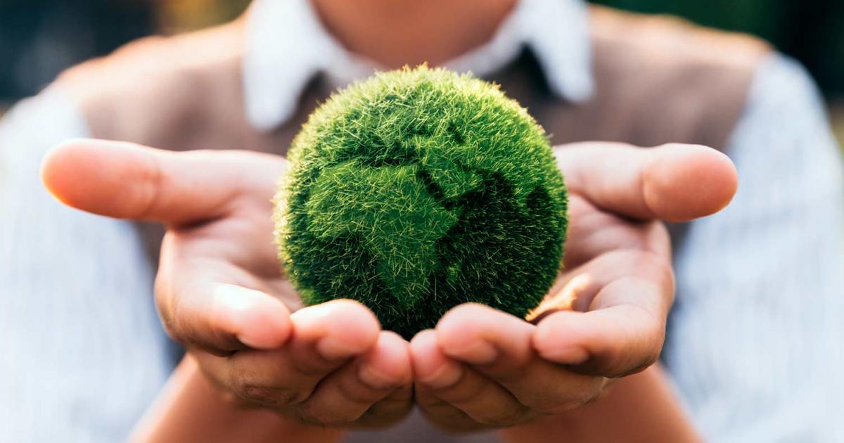 Reduce, reuse and recycle | Love The Garden