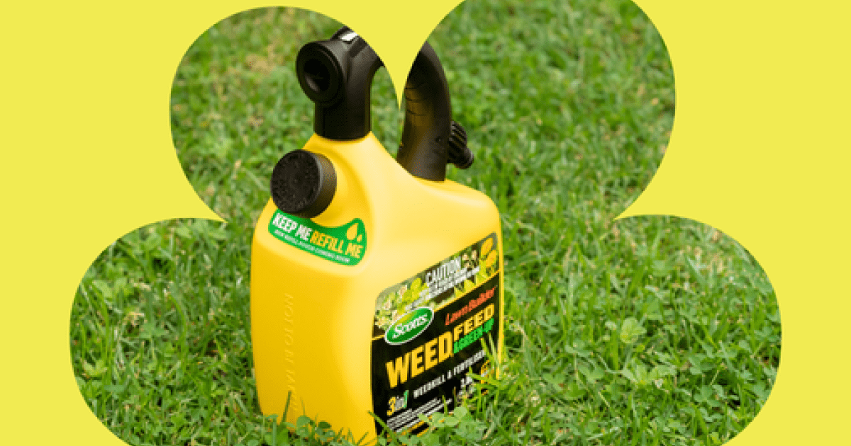 What to Do After Spraying Weed Killer: Essential Steps - My Backyard Grow