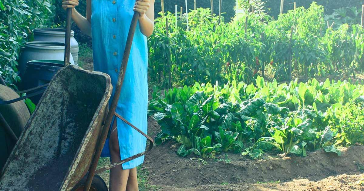 Découvrez les avantages des amendements du sol de Substral | Ilovemygarden