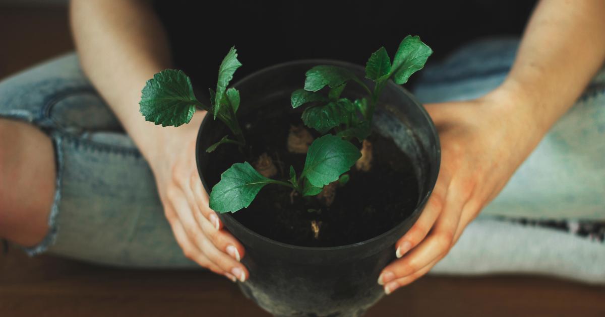 Your compost is changing | Love The Garden