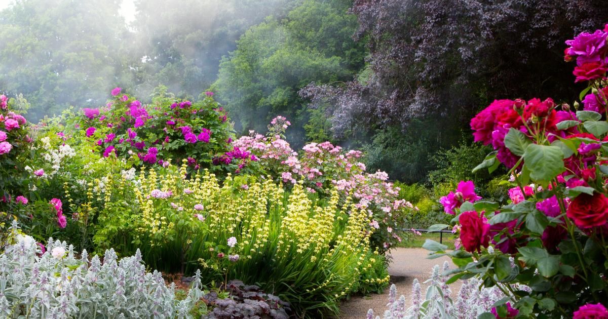 Borders en bloembedden aanplanten | Ilovemygarden