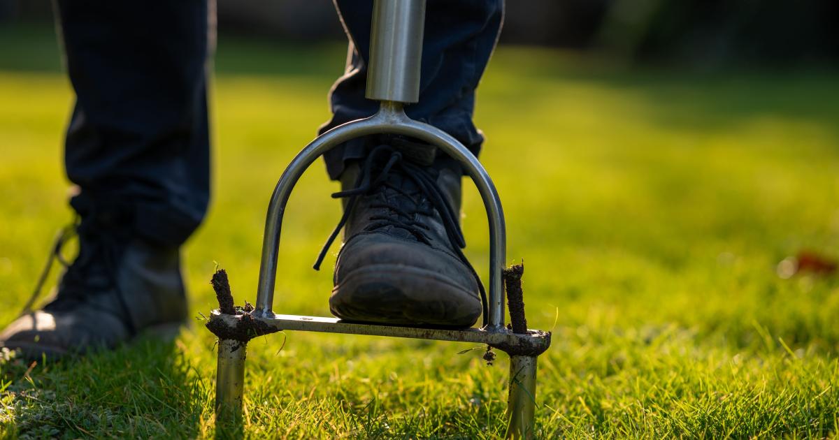 Comment et quand aérer sa pelouse : guide pour un jardin sain