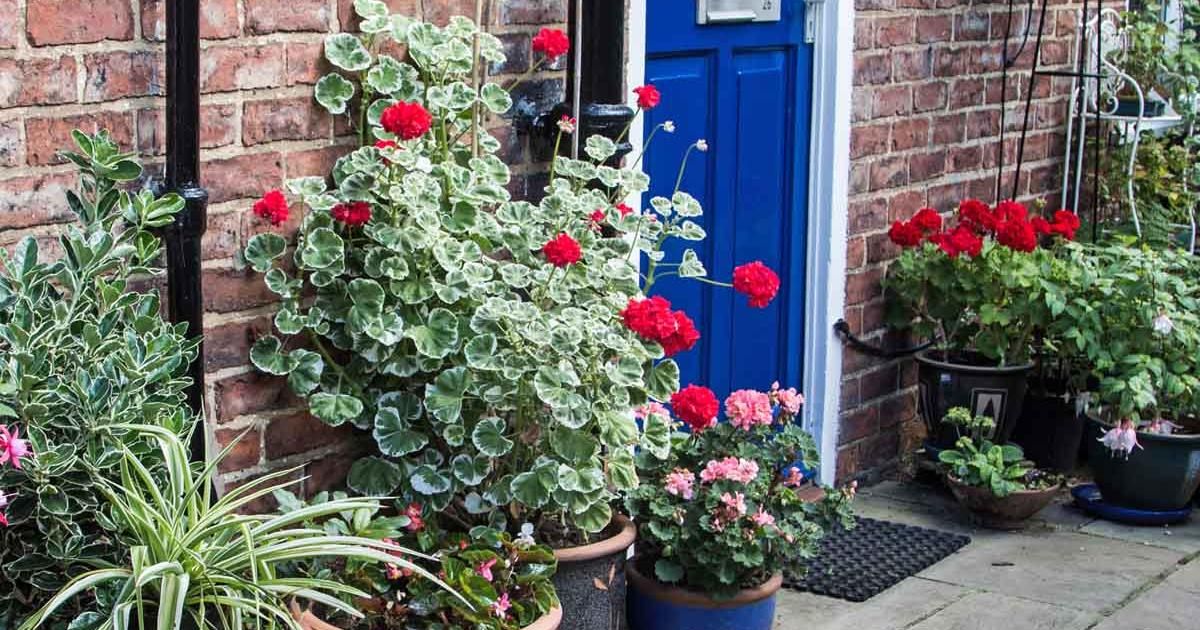 10 inspirerende voorbeelden van voortuinen die je zelf kan toepassen ...