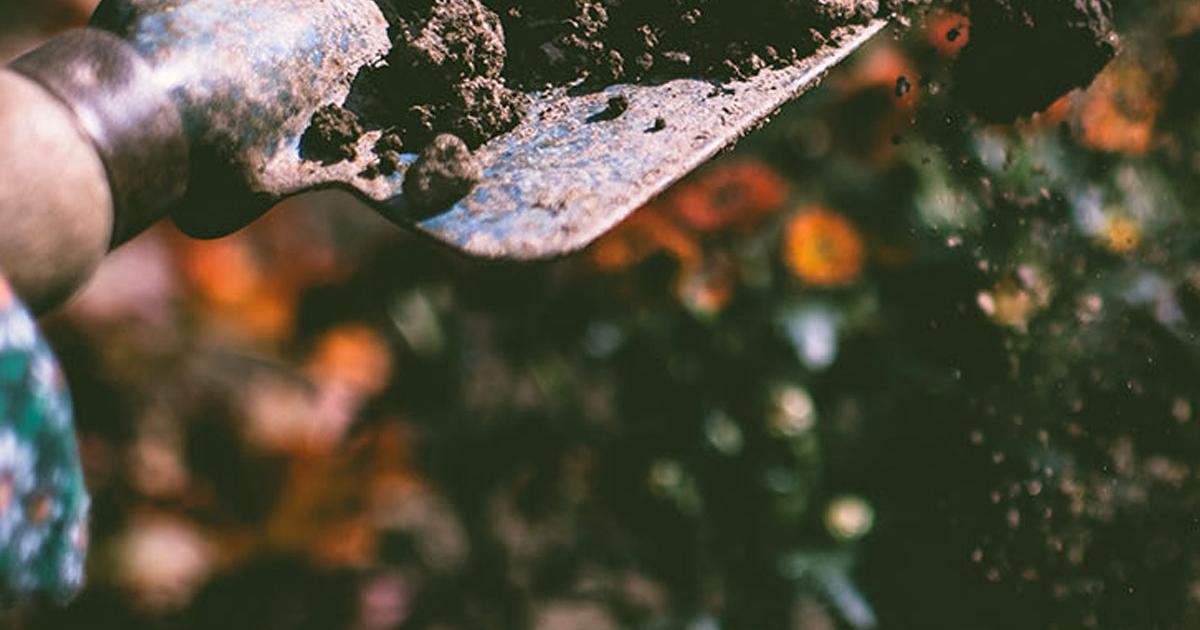 Comprendre le terreau: tout ce que vous devez savoir | Ilovemygarden