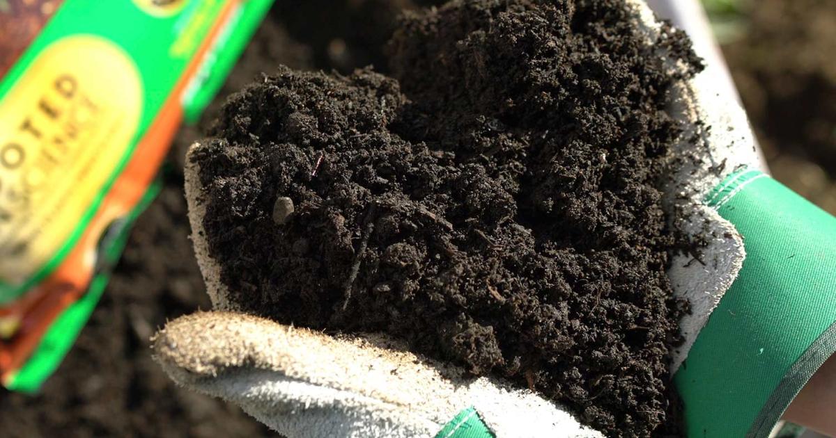 What to do with wet compost | Love The Garden