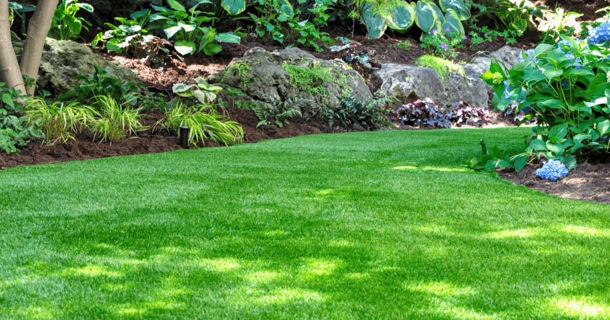 Trawnik w cieniu – wysiew i pielęgnacja | Love The Garden