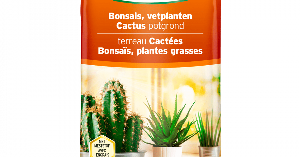 Substral Cactus-, Bonsai- En Vetplantenpotgrond, 6 L | Ilovemygarden