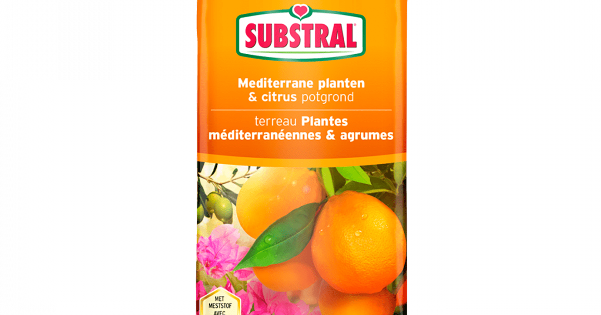 Substral Potgrond Voor Mediterrane Planten & Citrus, 20 L | Ilovemygarden