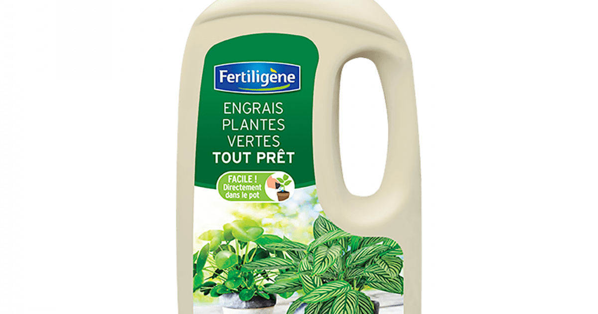 Fertiligène engrais plantes vertes tout prêt, 1L | La Pause Jardin