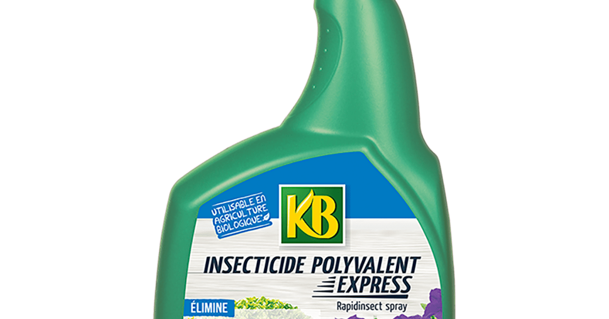 KB insecticide polyvalent express prêt à l'emploi, 750 ml | La Pause Jardin