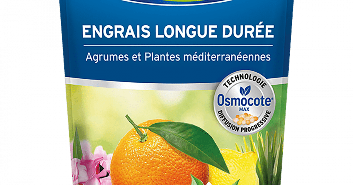 Fertiligène Engrais longue durée Osmocote® Max agrumes et plantes ...