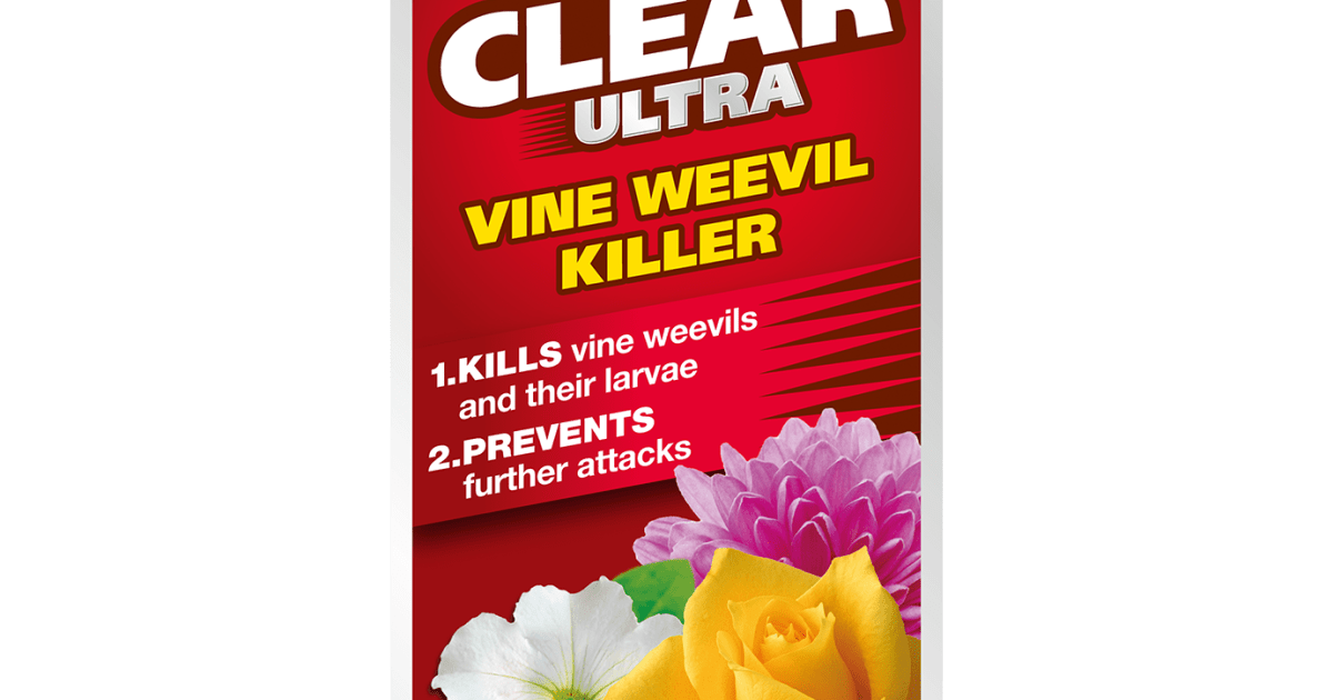 BugClear™ Ultra Vine Weevil Killer 480ml
