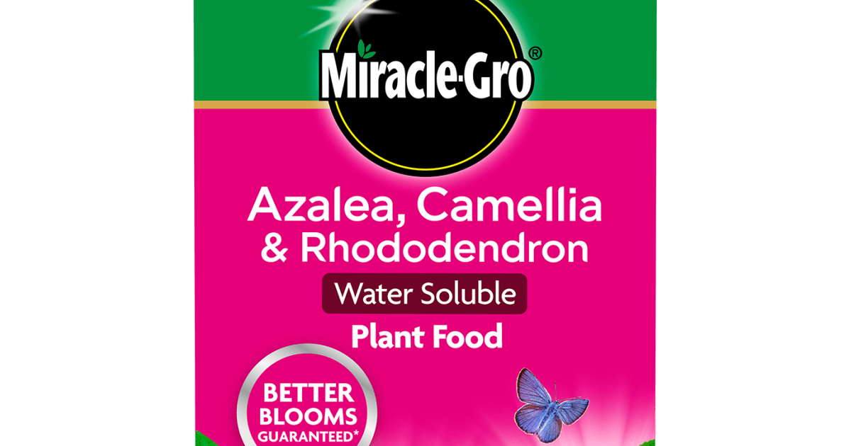 Miracle-Gro® Azalea, Camellia & Rhododendron Soluble Plant Food 1kg