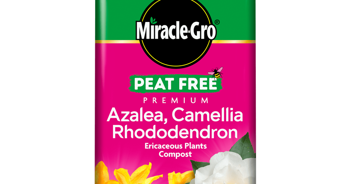 Miracle-Gro® Peat Free Premium Azalea, Camellia & Rhododendron ...
