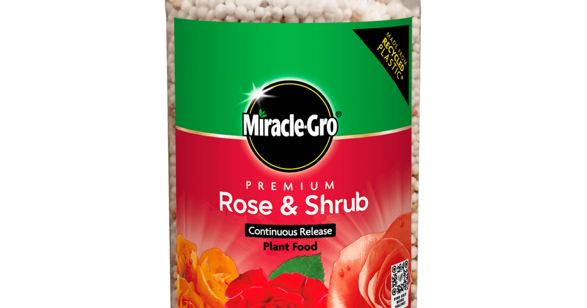 Miracle Grow Roses Miracle Gro® Potting Mix Brookville, OH West