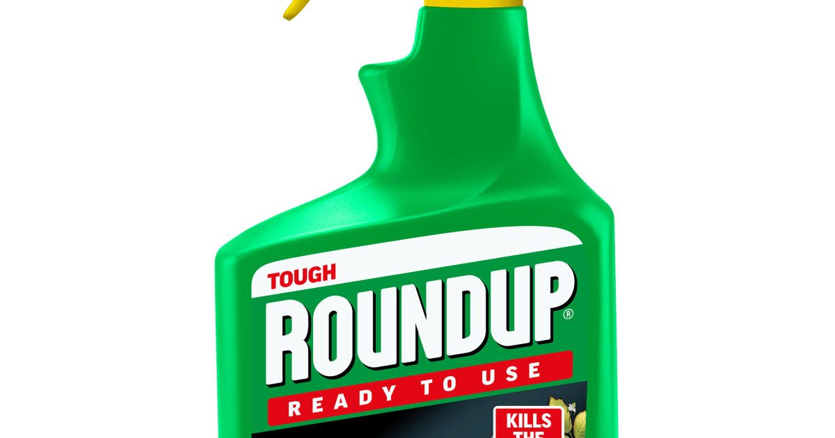 what does roundup ready mean