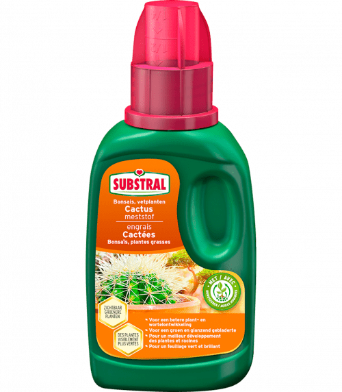 Substral Cactus-, Bonsai- En Vetplantenmeststof, 250 ml | Ilovemygarden